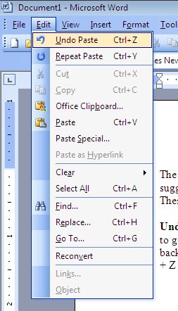 Microsoft Word Edit Menus - Computer and Internet